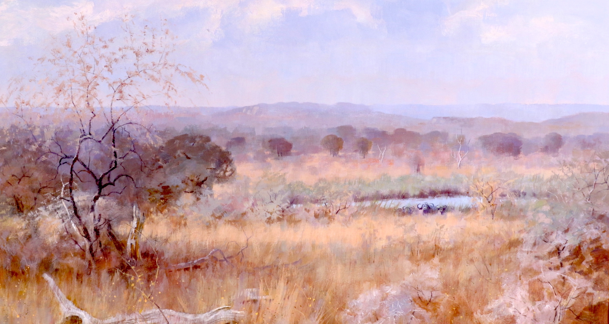 Paul Wiles | BUFFALO IN THE BUSHVELD | MutualArt