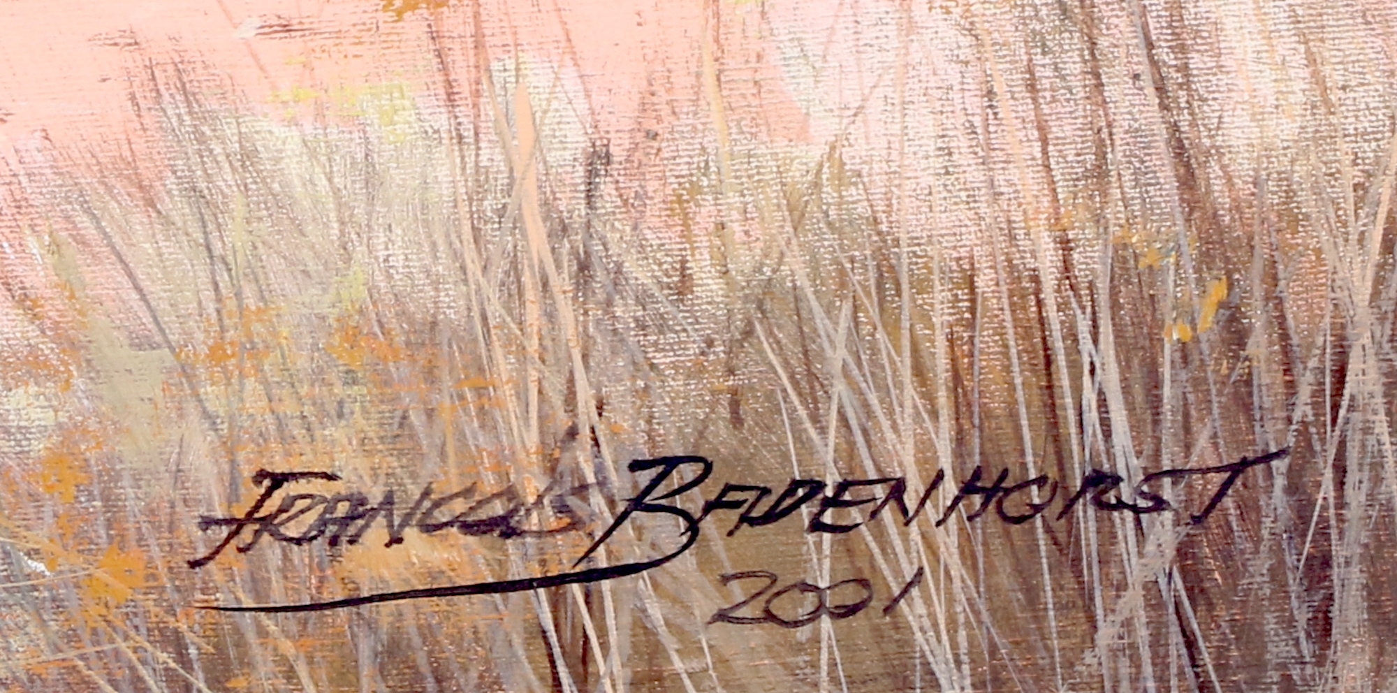 Francois Badenhorst | BOABAB TREE | MutualArt