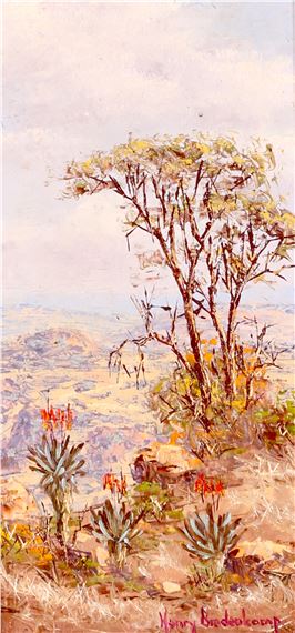 Henry Bredenkamp | ALOES IN THE FIELD | MutualArt