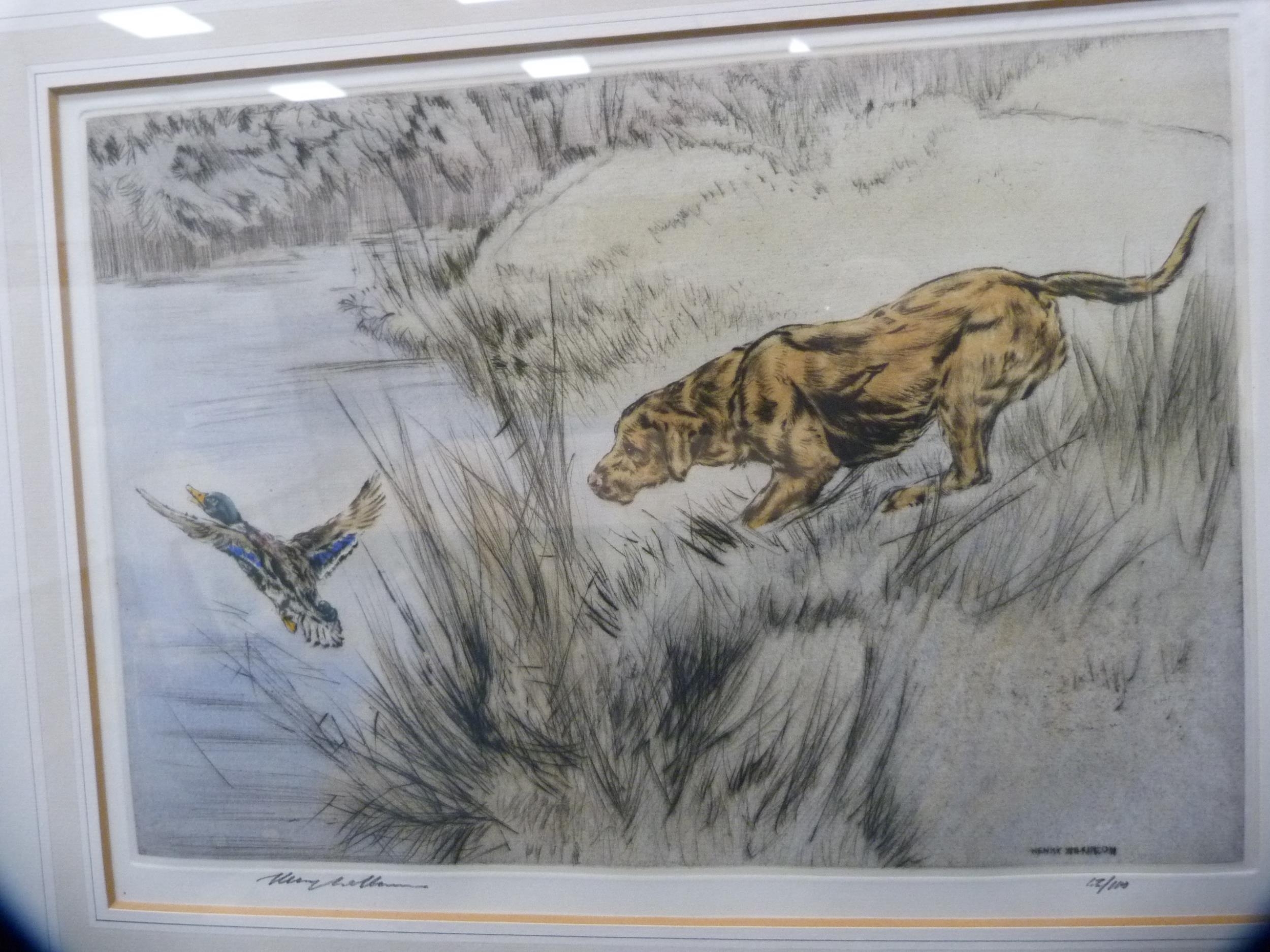 Henry Wilkinson | Dog and a mallard | MutualArt