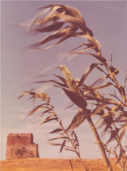 Riccardo Moncalvo | Canne al vento (1974) | MutualArt