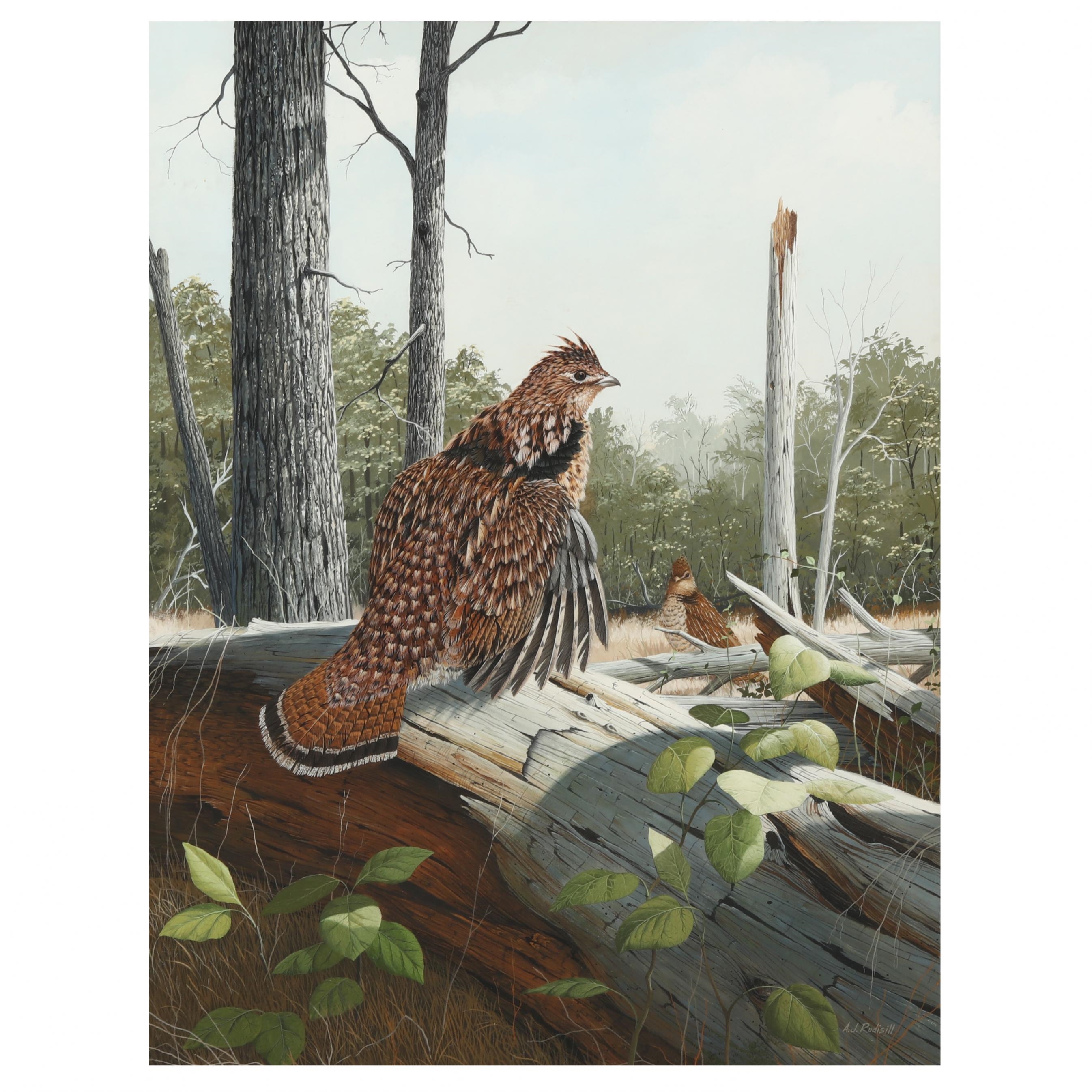 A.J. Rudisill | Ruffed Grouse | MutualArt