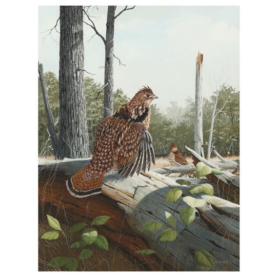 A.J. Rudisill | Ruffed Grouse | MutualArt