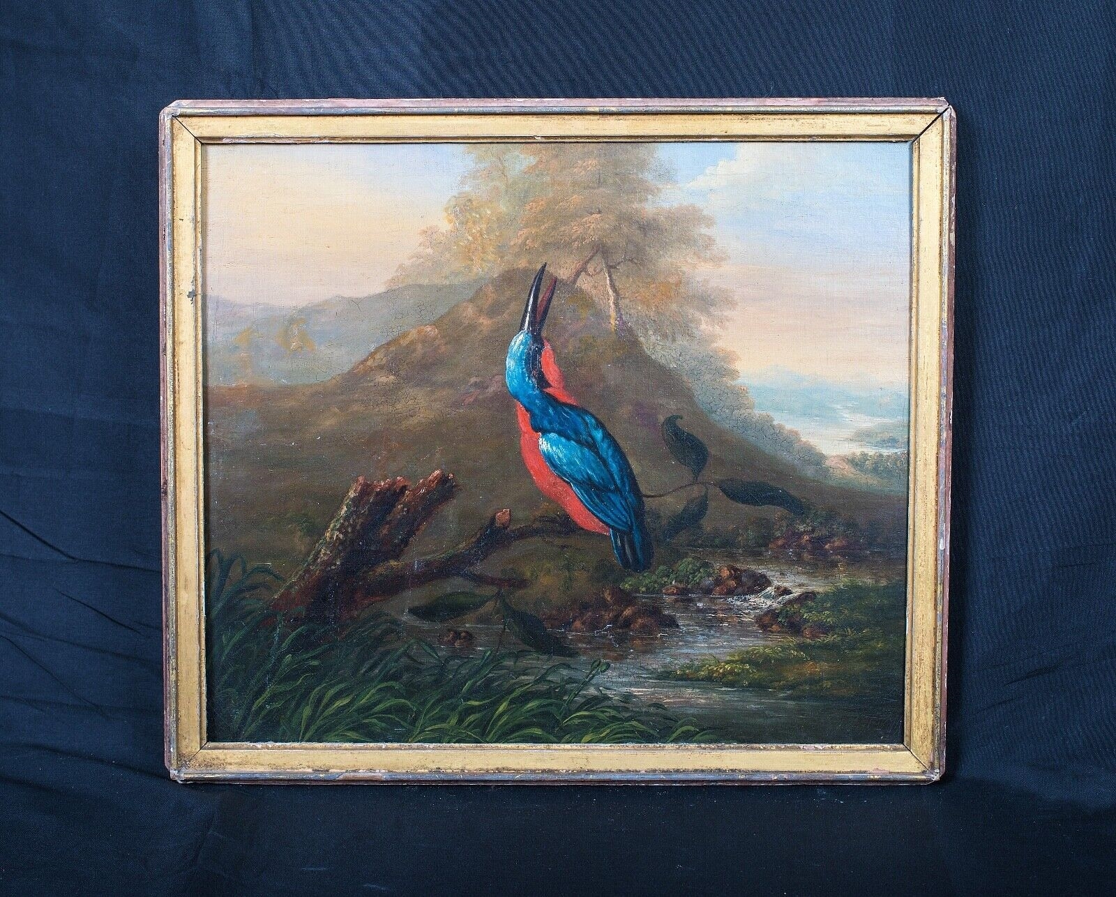 Philip Reinagle | STUDY OF A KINGFISHER OIL PAINTING (18th Century ...