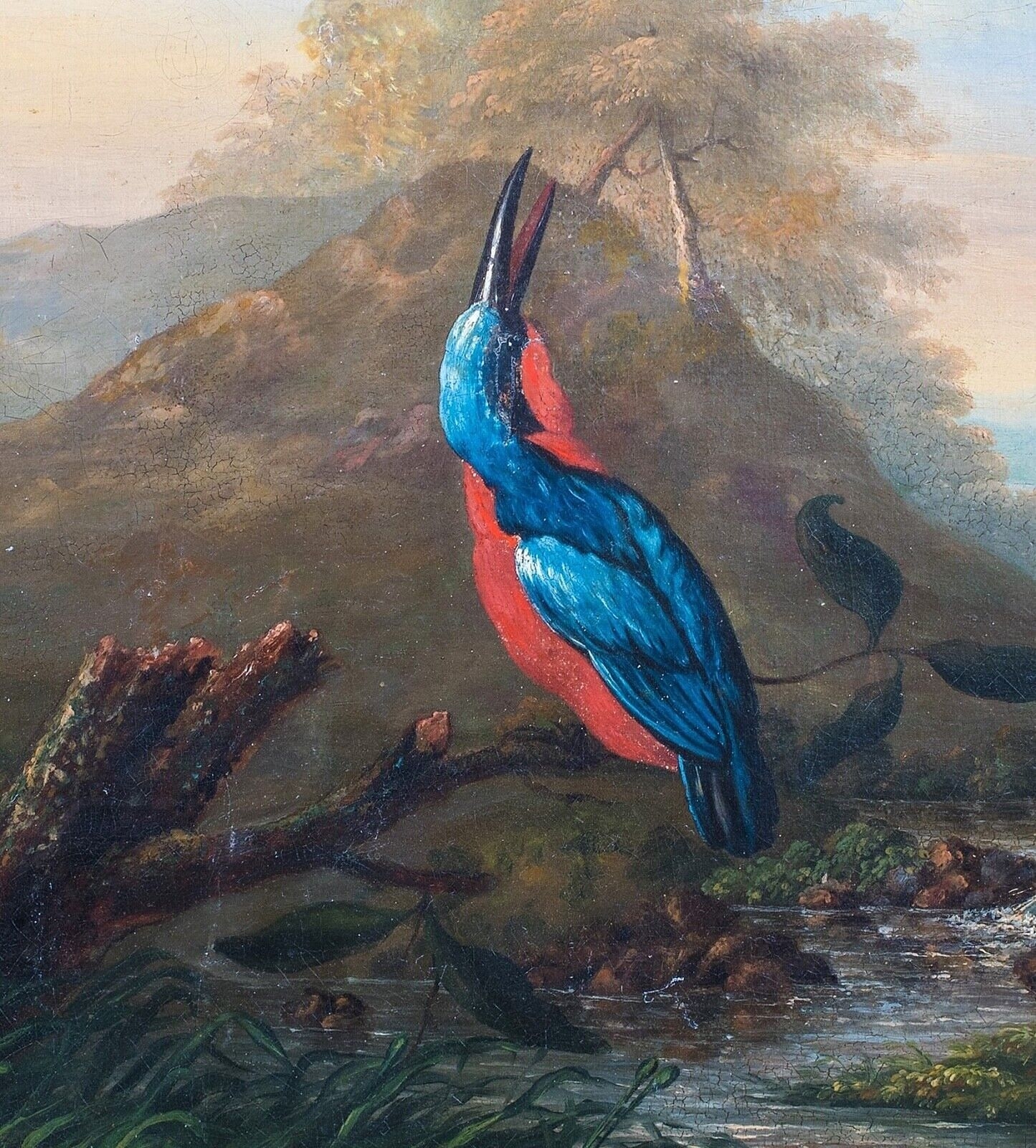 Philip Reinagle | STUDY OF A KINGFISHER OIL PAINTING (18th Century ...