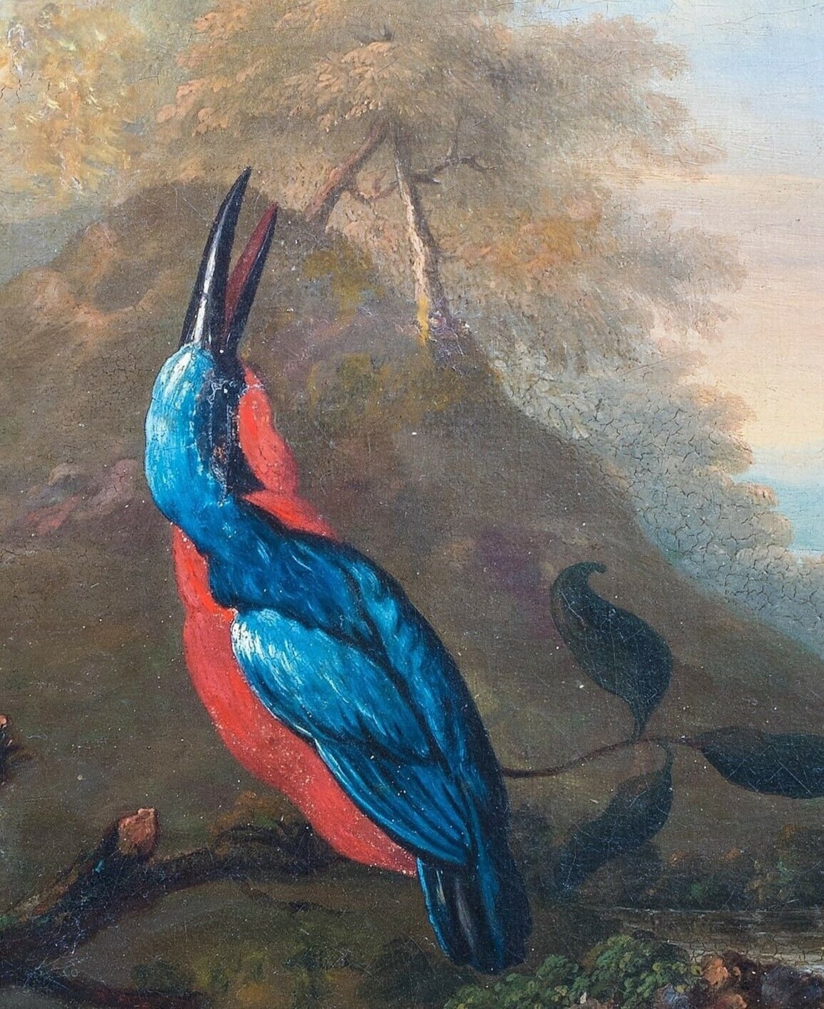Philip Reinagle | STUDY OF A KINGFISHER OIL PAINTING (18th Century ...