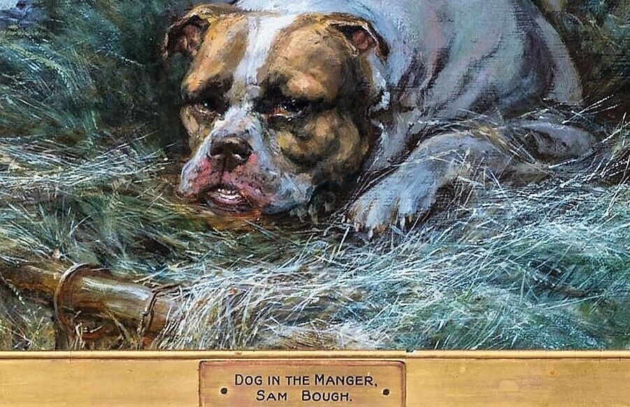 Sam Bough | BULLDOG IN A MANAGER DOG PORTRAIT OIL PAINTING (19th ...