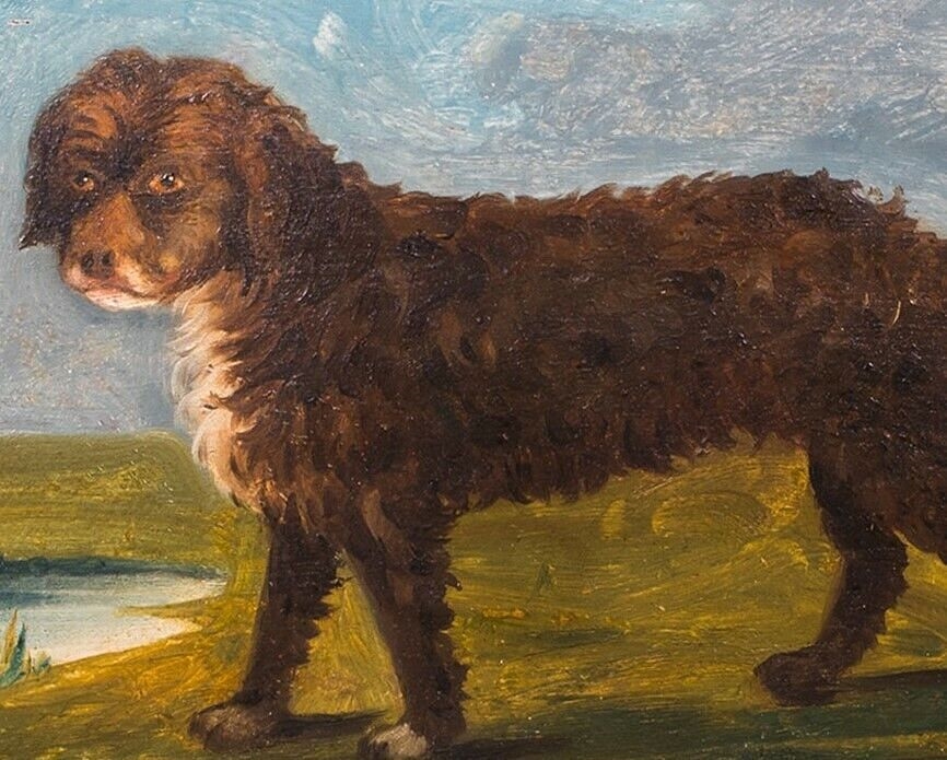 English School, 19th Century | PORTRAIT OF A PORTUGUESE WATER SPANIEL ...