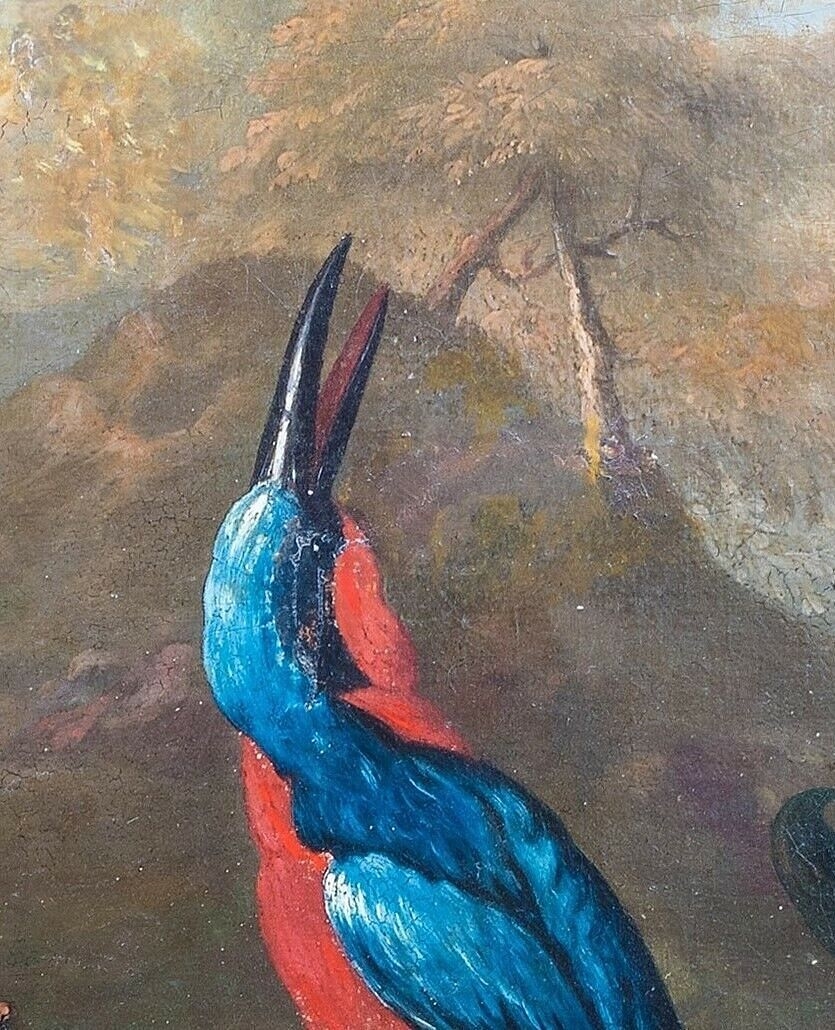Philip Reinagle | STUDY OF A KINGFISHER OIL PAINTING (18th Century ...