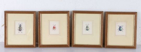 David A. Cook | 1 Artworks at Auction | MutualArt