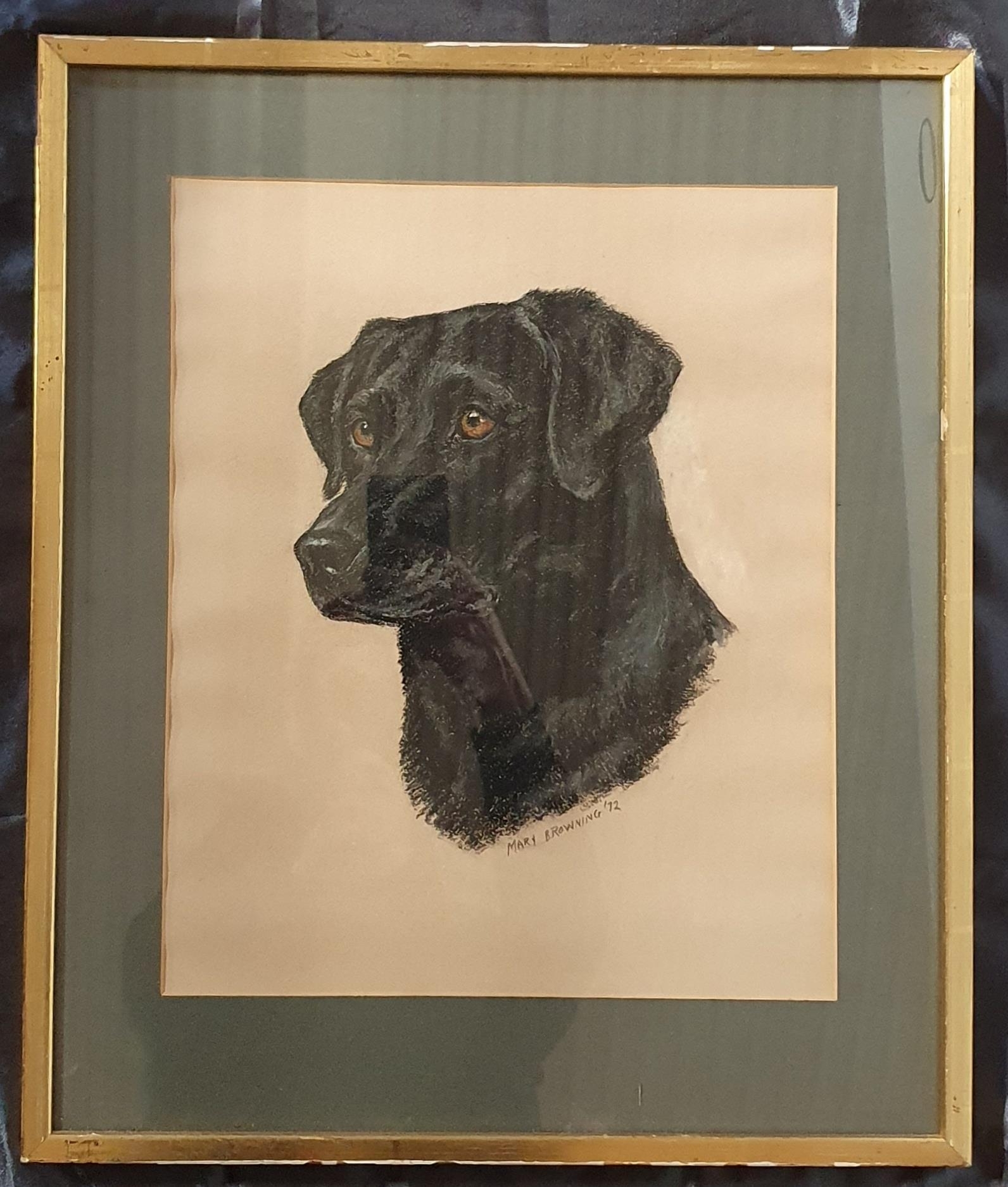 Mary Browning | A Crayon and Pastel Drawing of a Labrador | MutualArt