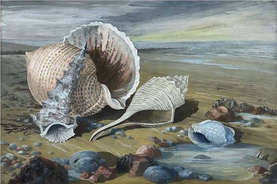 Marjorie Drawbell | 3 Artworks at Auction | MutualArt