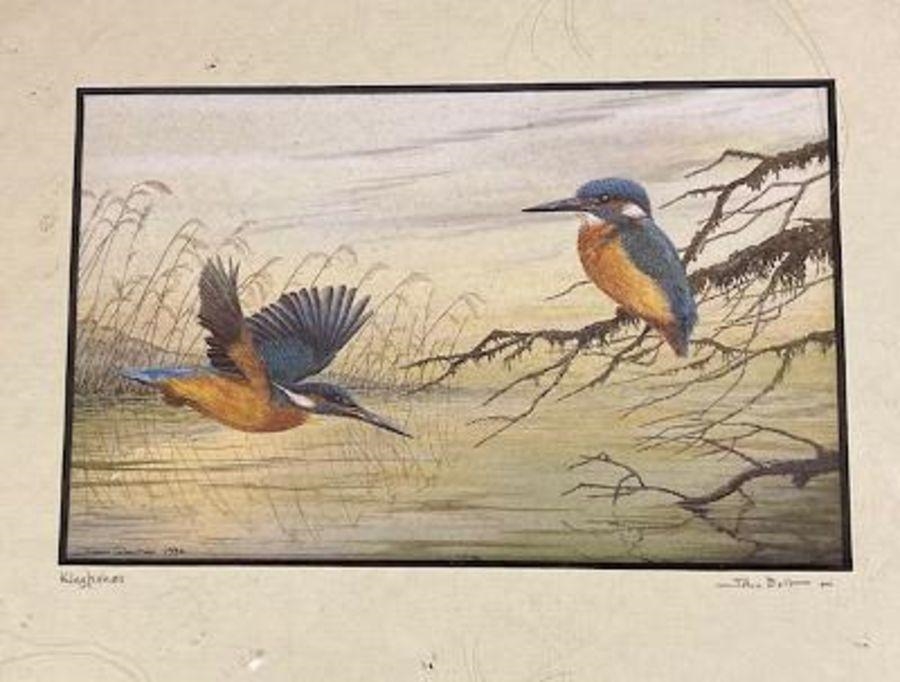 John Dolton | Kingfisher study | MutualArt
