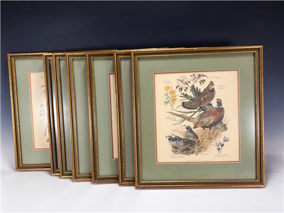 Arthur B. Singer | 7 ARTHUR SINGER ORNITHOLOGY PRINTS | MutualArt