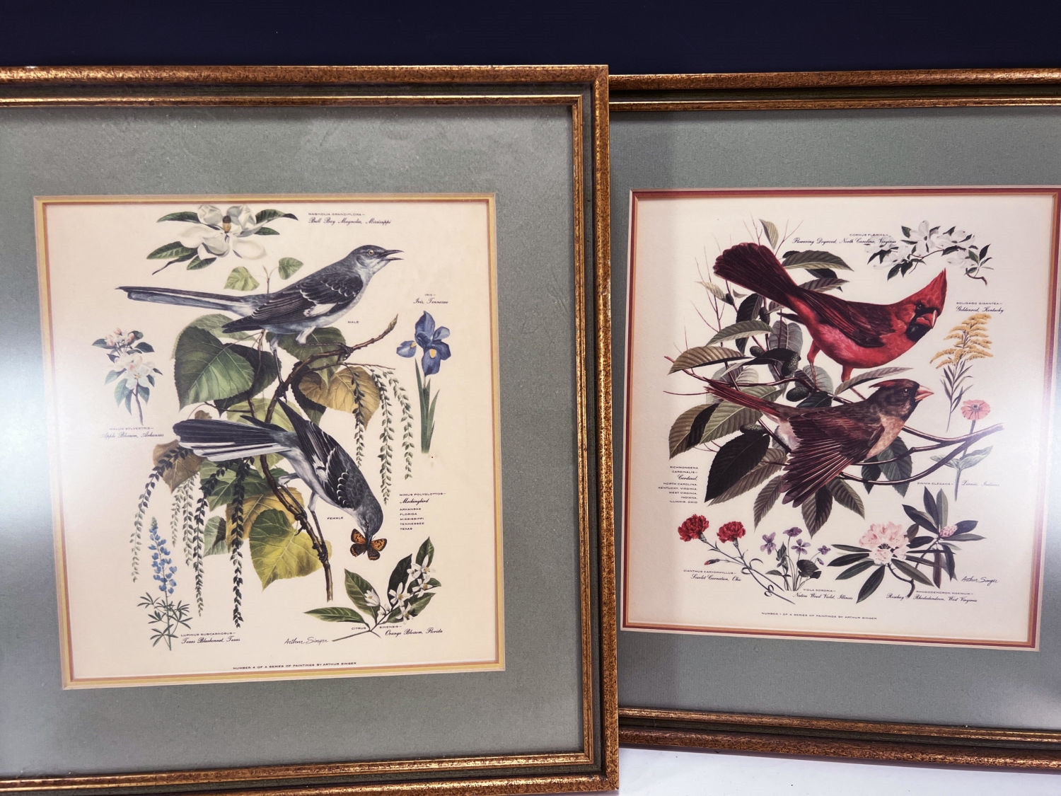 Arthur B. Singer | 7 ARTHUR SINGER ORNITHOLOGY PRINTS | MutualArt