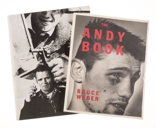 Bruce Weber | The Andy Book (1987 - 1988) | MutualArt