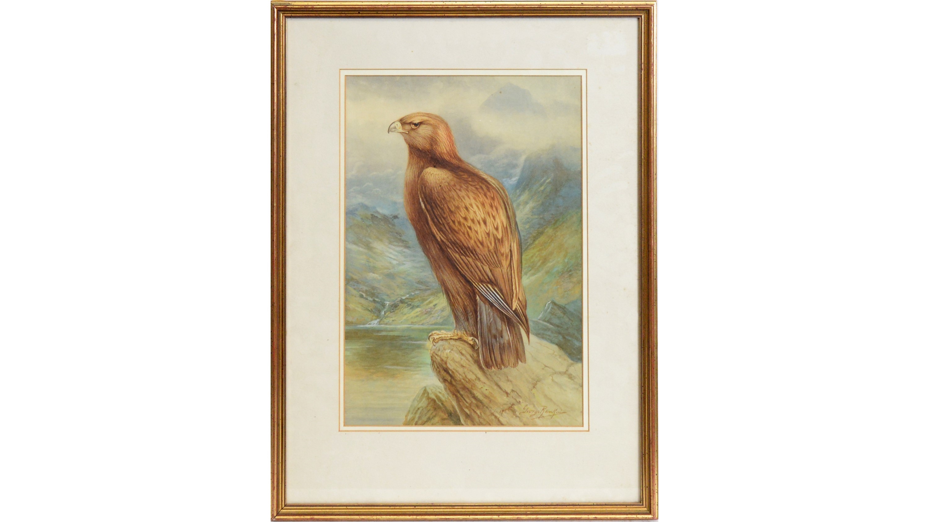 George James Rankin | A Majestic Golden Eagle Foiled Against the ...