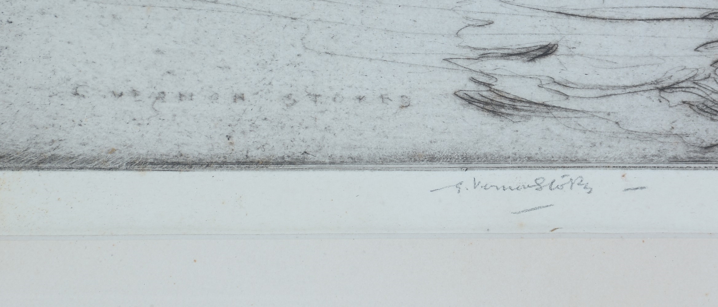 George Vernon Stokes | Otter Hounds and Pups | MutualArt