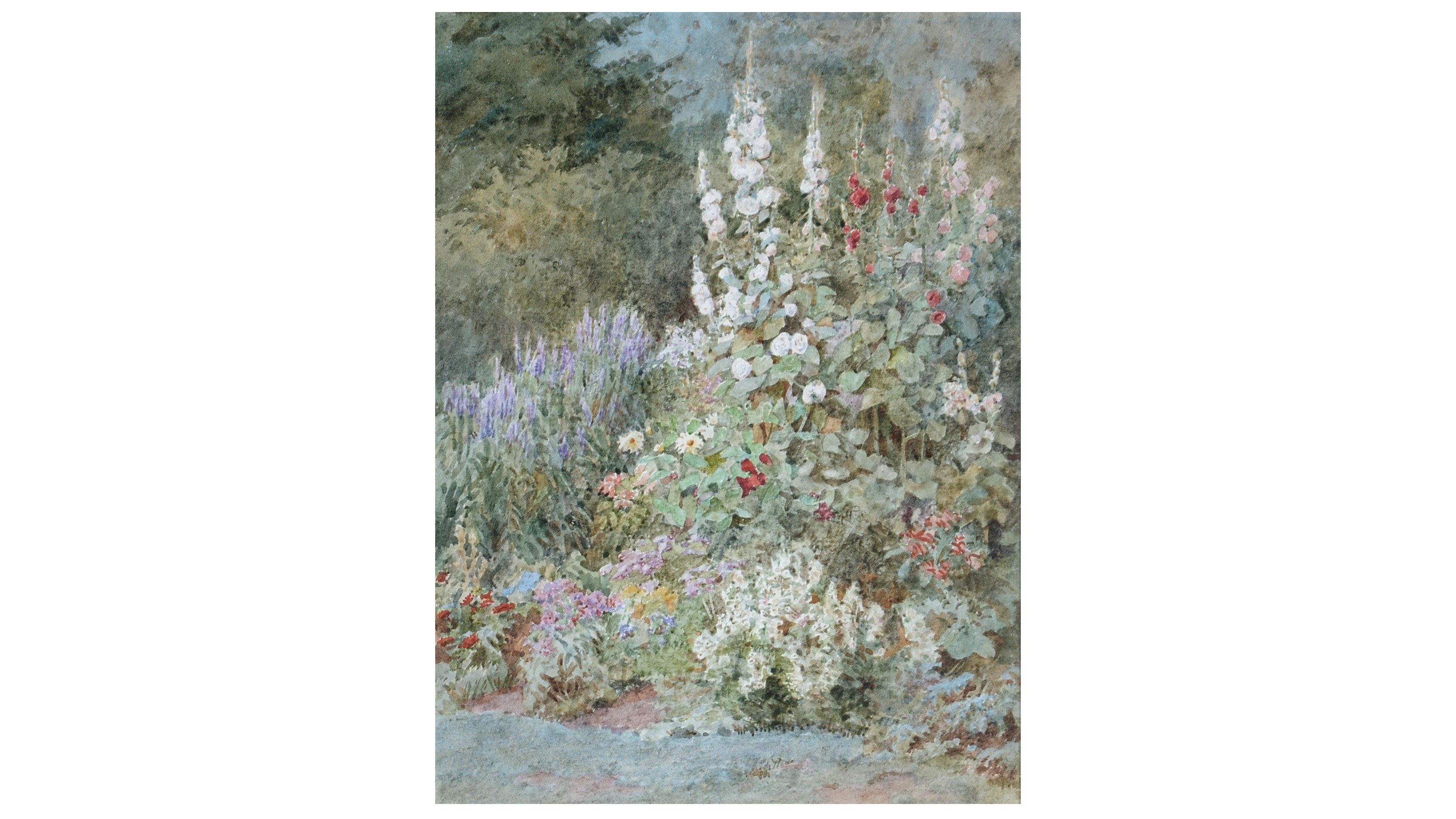 Thomas Nicholson Tyndale | A Summer Border, with Hollyhocks and Salvia ...