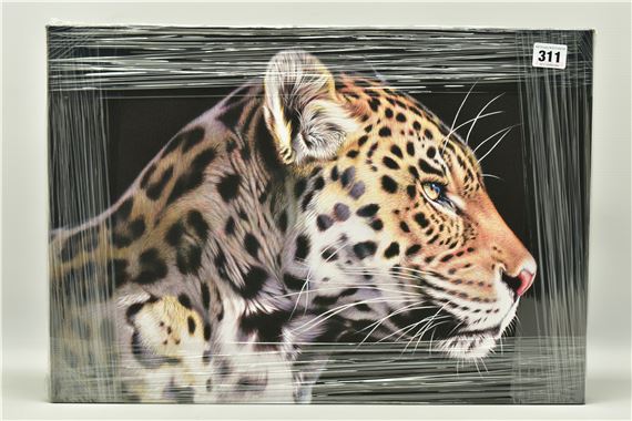 Darryn Eggleton | 31 Artworks at Auction | MutualArt