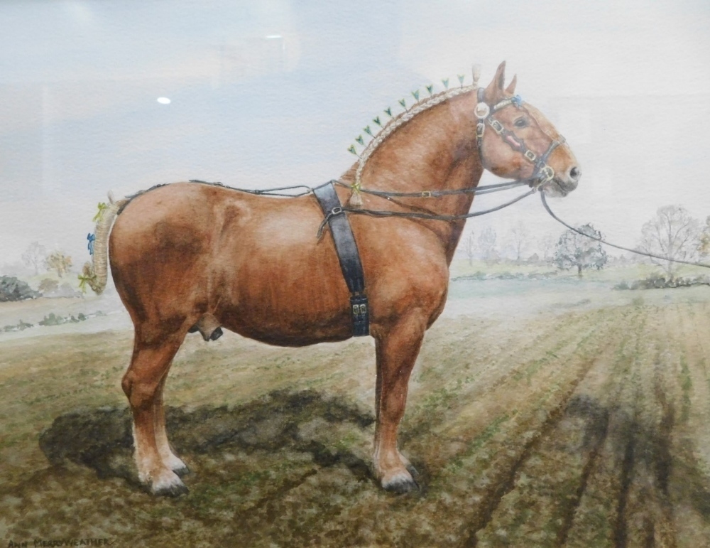 Ann Merryweather | Shire horse in a field | MutualArt