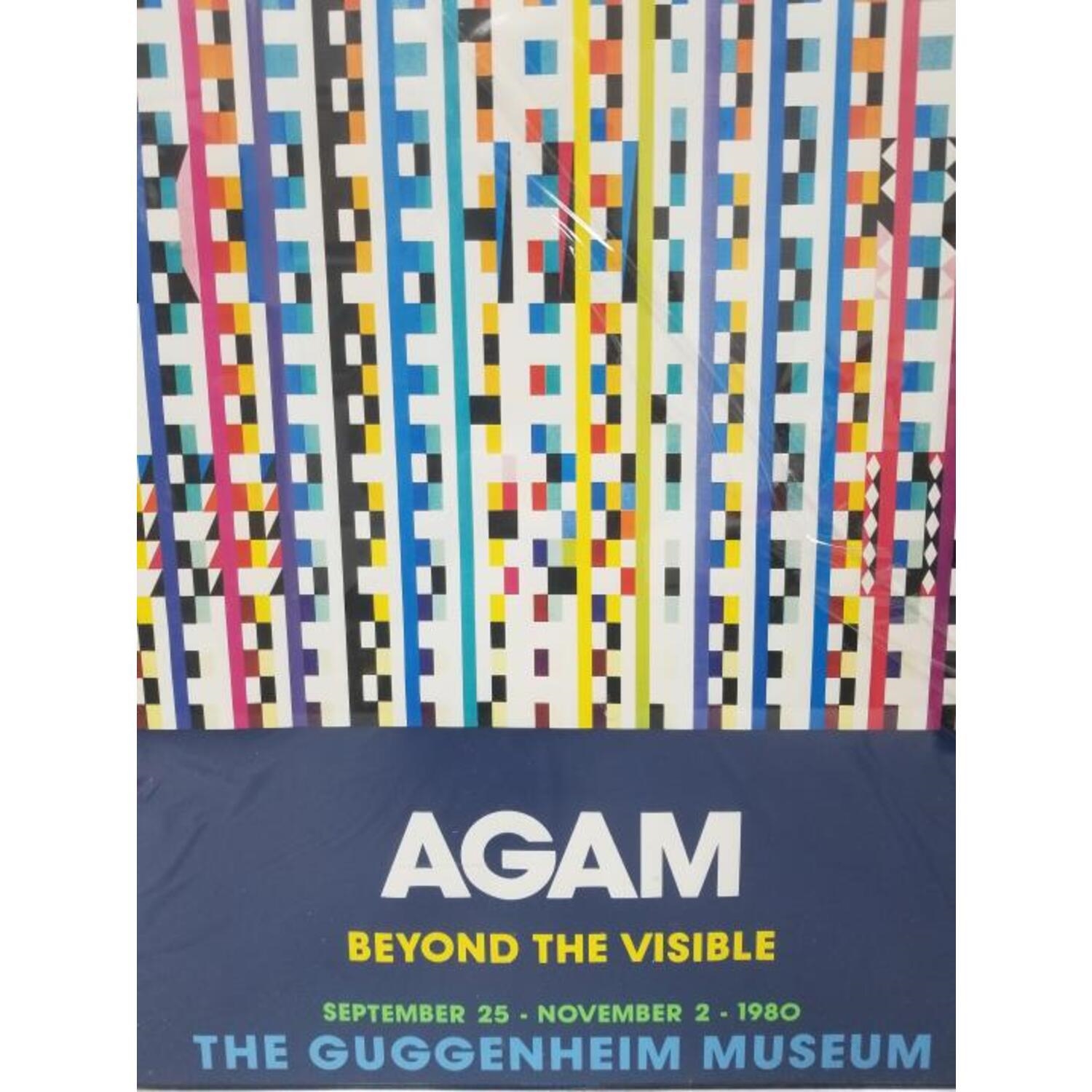 Yaacov Agam | Agam Beyond the Visible (1980) | MutualArt