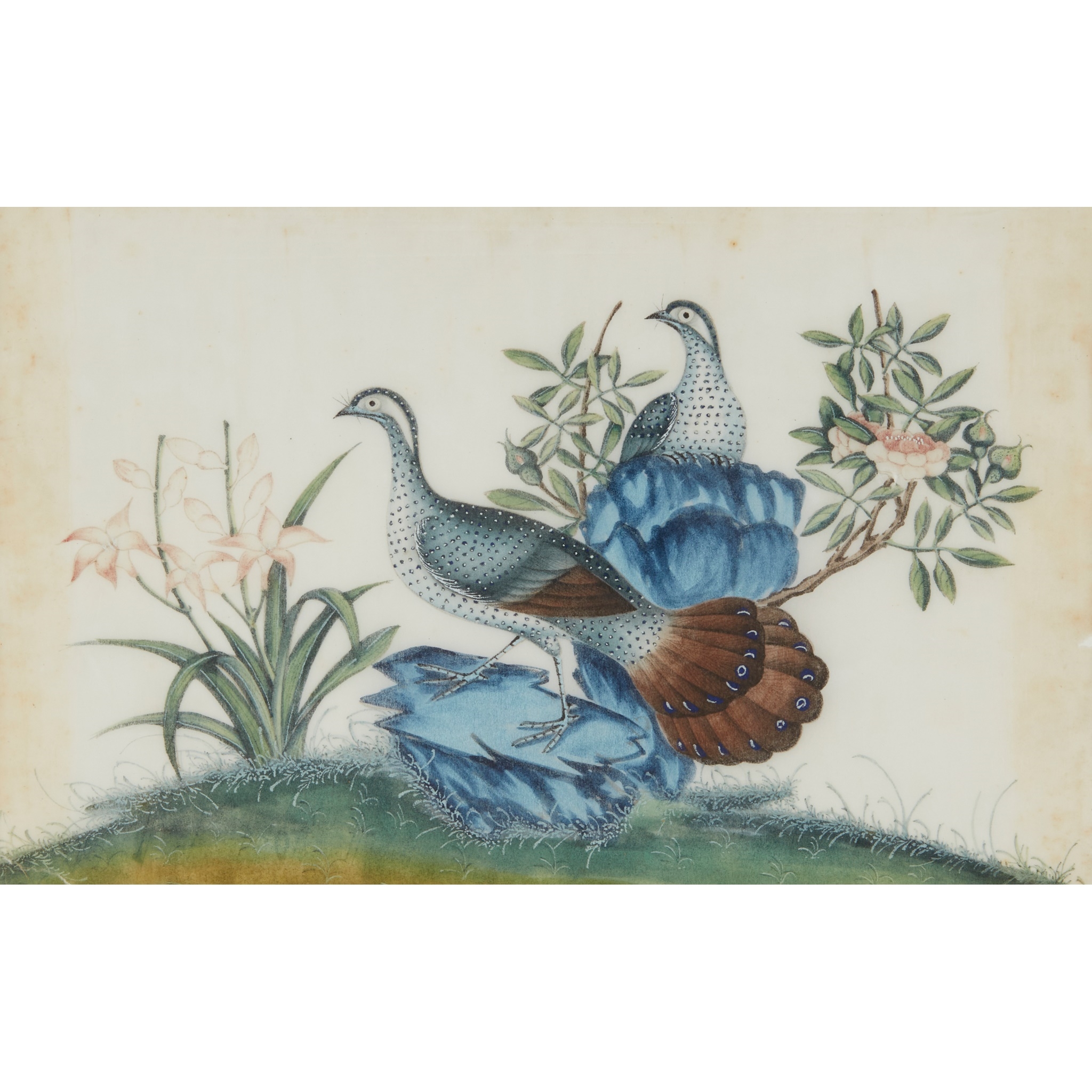 Chinese School, 19th Century | TWO PITH PAINTINGS OF EXOTIC BIRDS ...