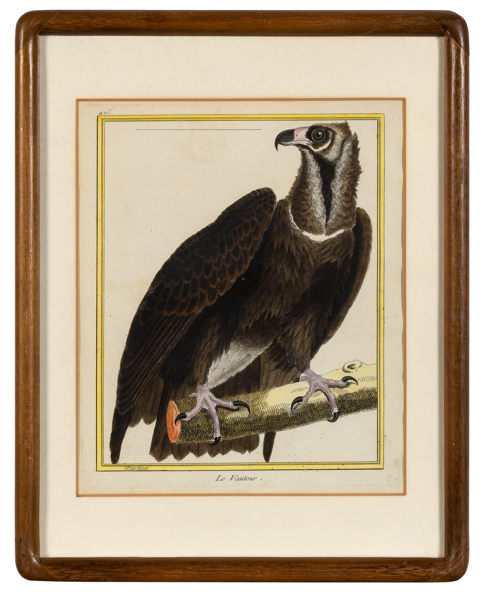 Françoise Nicolas Martinet | [BIRD STUDIES] | MutualArt