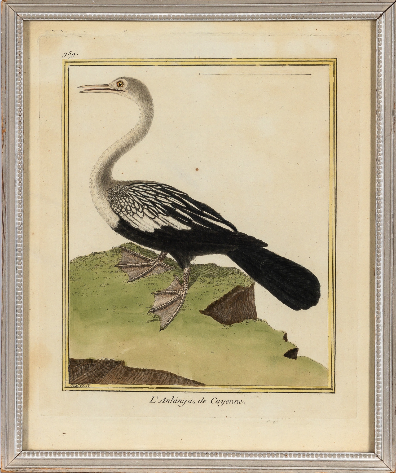 Françoise Nicolas Martinet | [BIRD STUDIES] | MutualArt