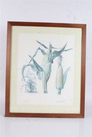 Graham Rust | Four colour botanical prints | MutualArt