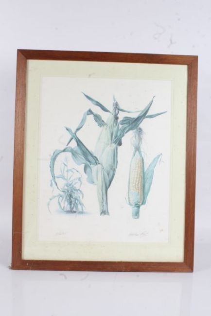 Graham Rust | Four colour botanical prints | MutualArt