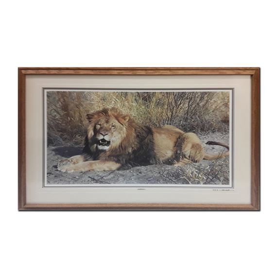 Carl Brenders | Kalahari | MutualArt