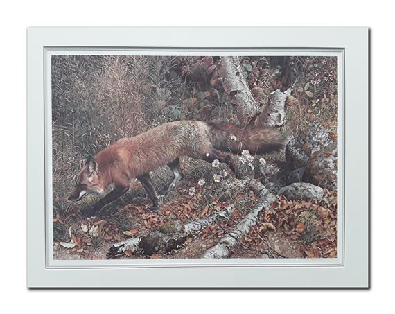 Carl Brenders | Carl Brenders' Pathfinder- Red Fox Limited Edition ...