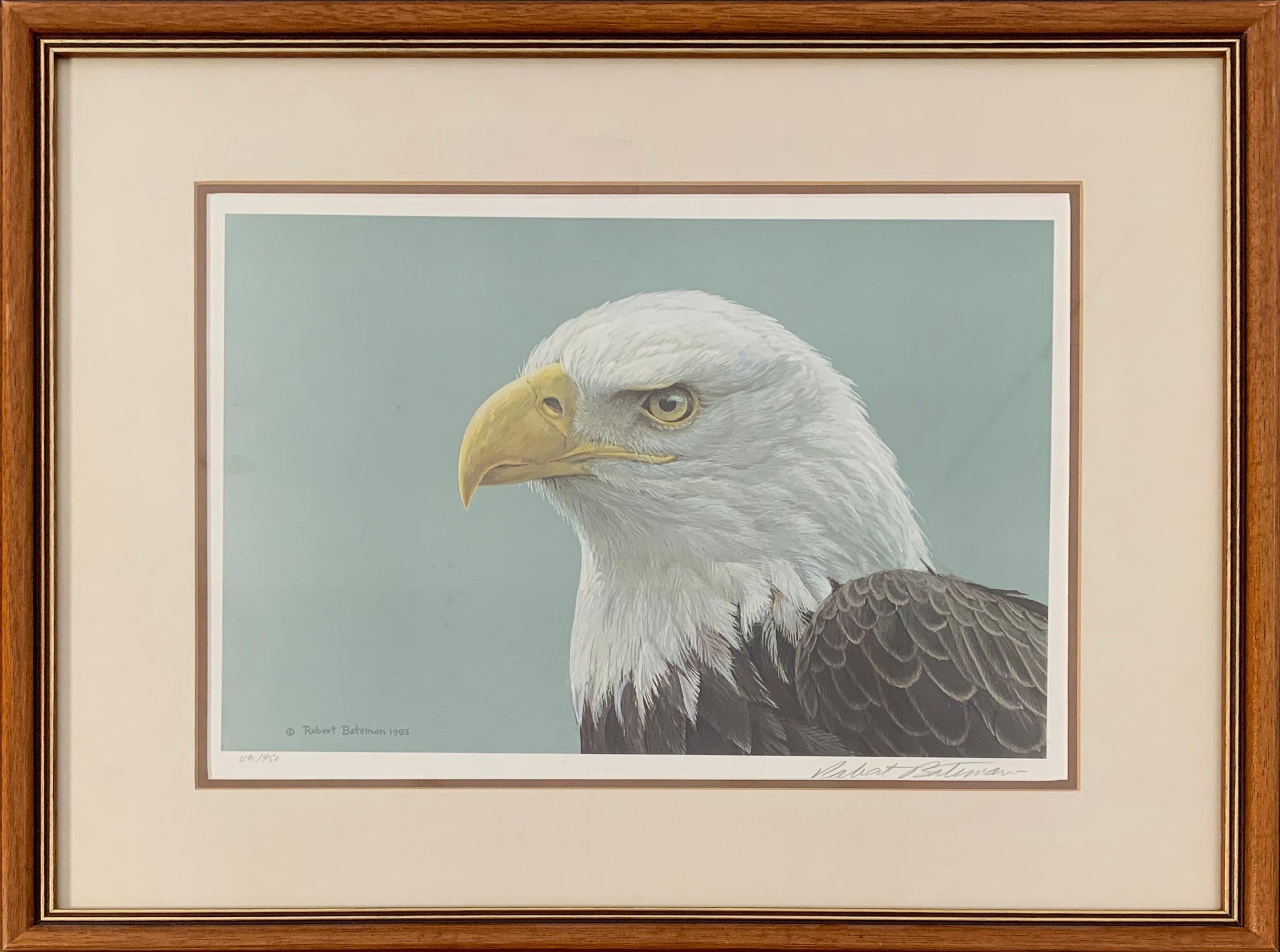 Robert McLellan Bateman | Bald Eagle Portrait | MutualArt