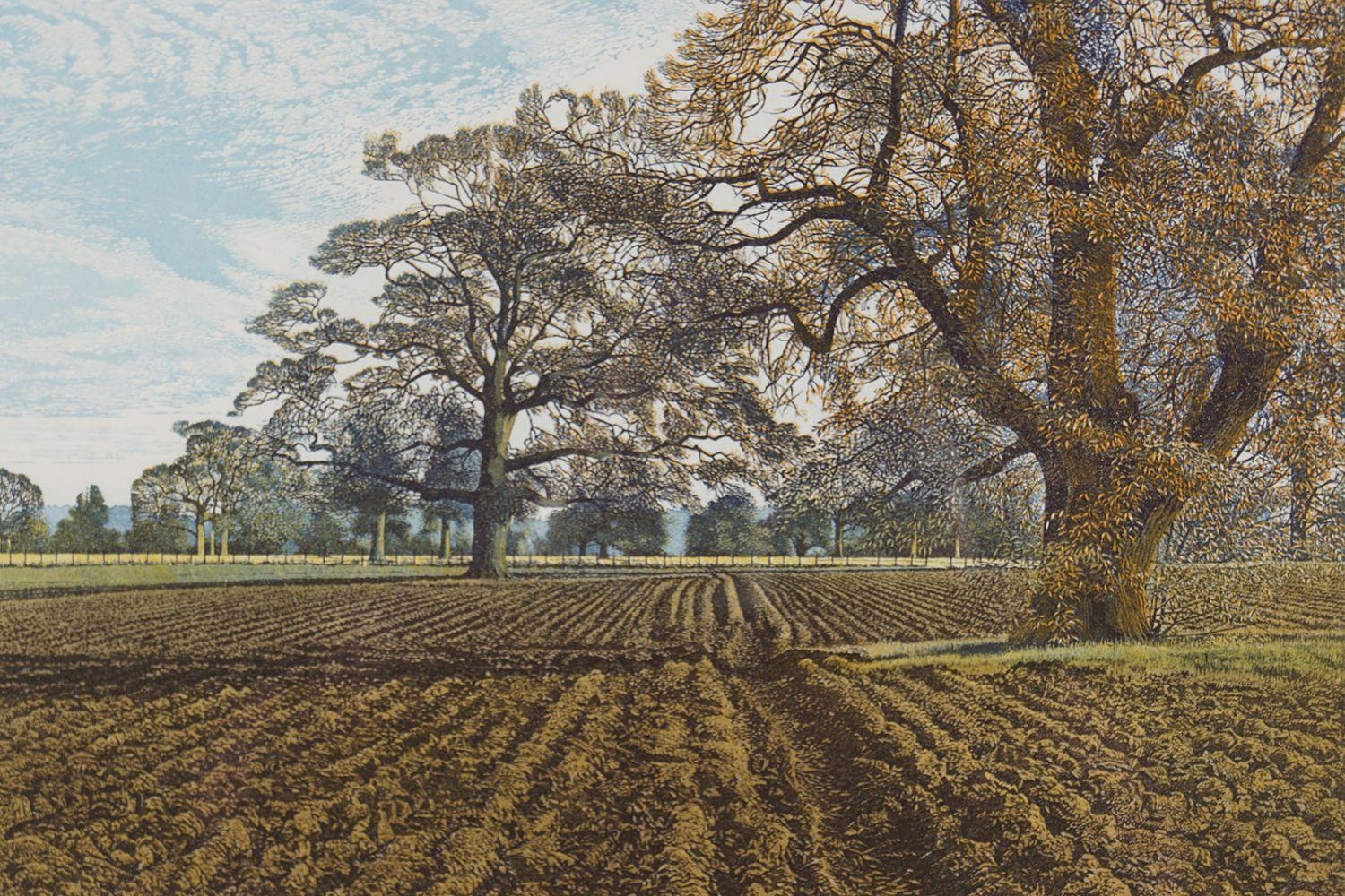 Graham Evernden | Home Field | MutualArt