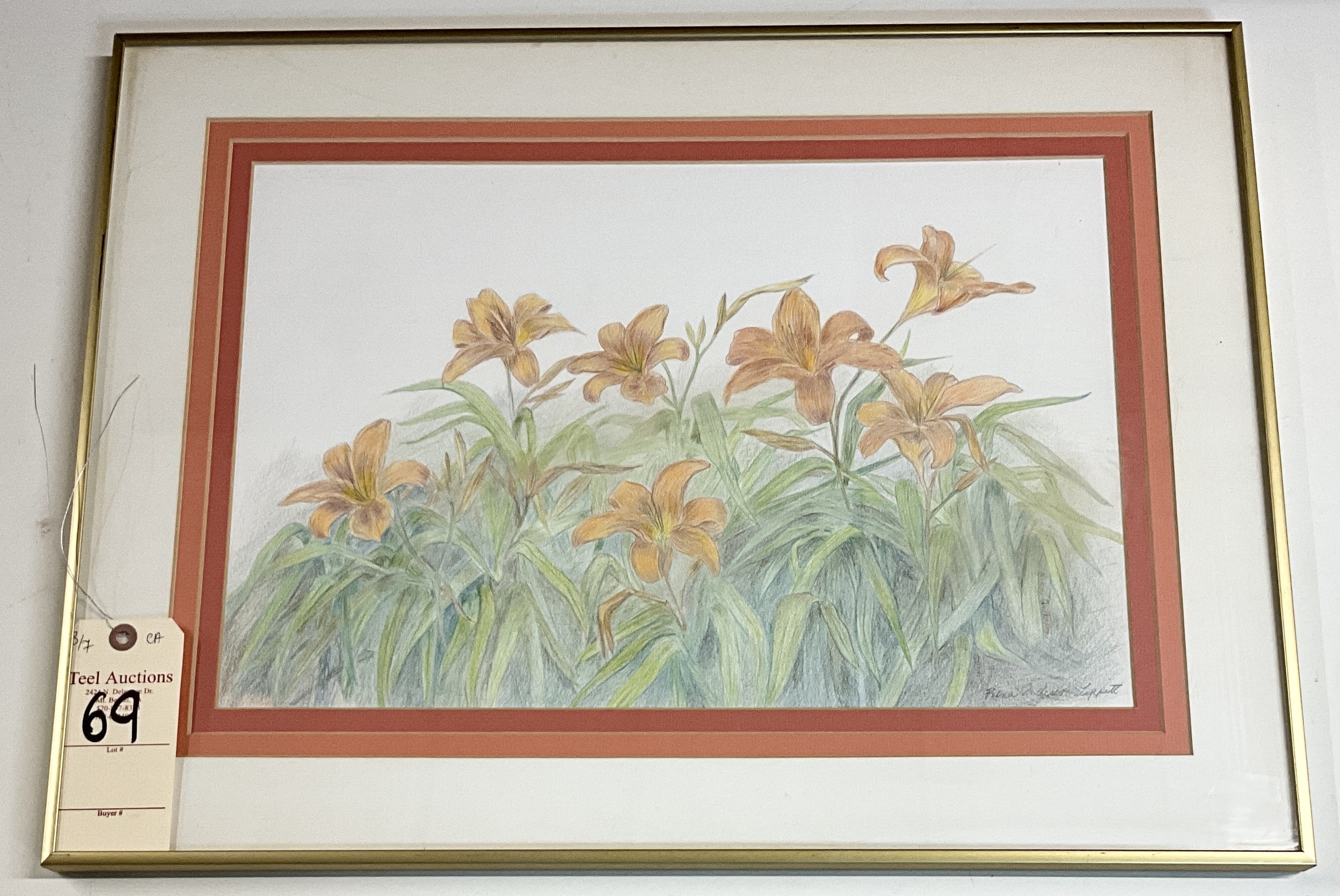 rena tippett | FIELD LILIES | MutualArt