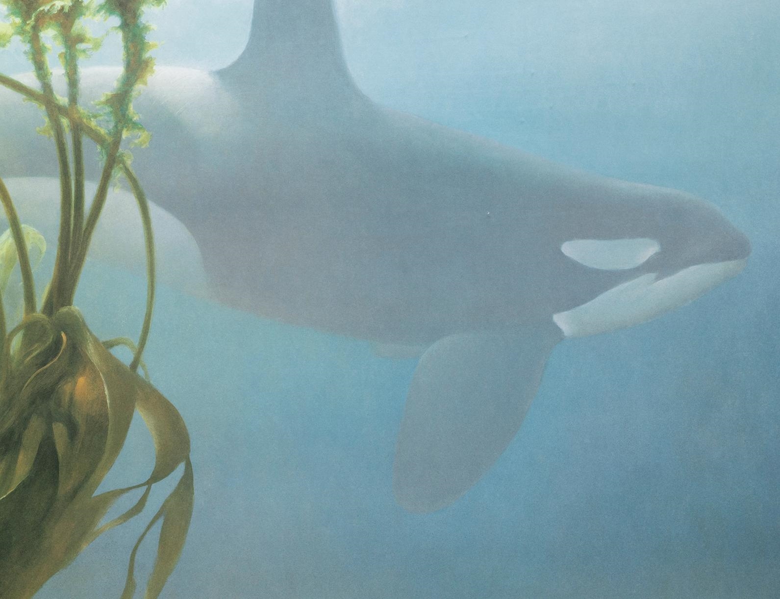 Robert McLellan Bateman | Ocean Rhapsody (1999) | MutualArt