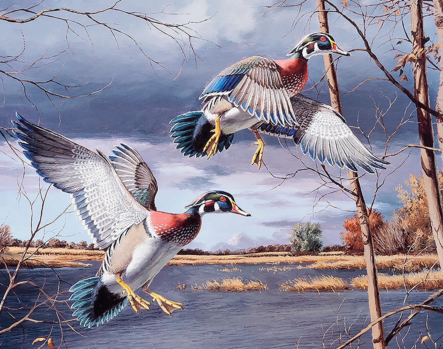 David Maass | Fruits of Your Labor - Wood Ducks | MutualArt