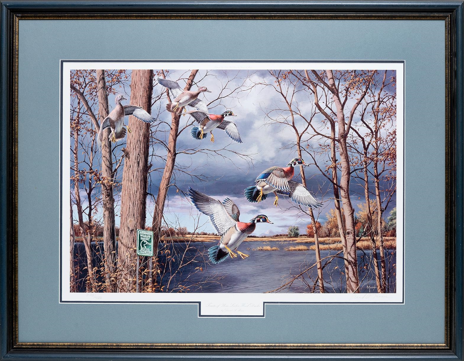 David Maass | Fruits of Your Labor - Wood Ducks | MutualArt