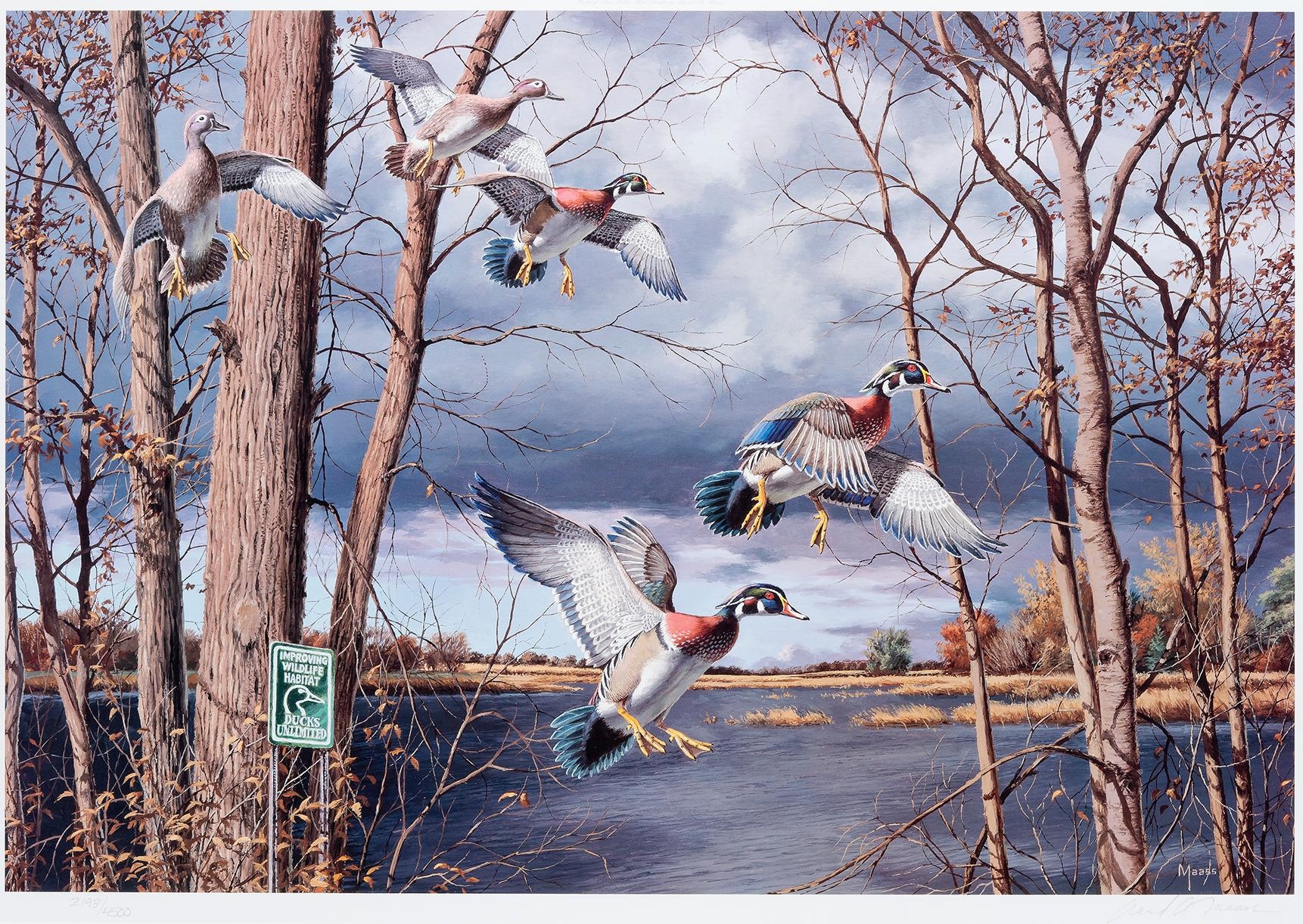 David Maass | Fruits of Your Labor - Wood Ducks | MutualArt