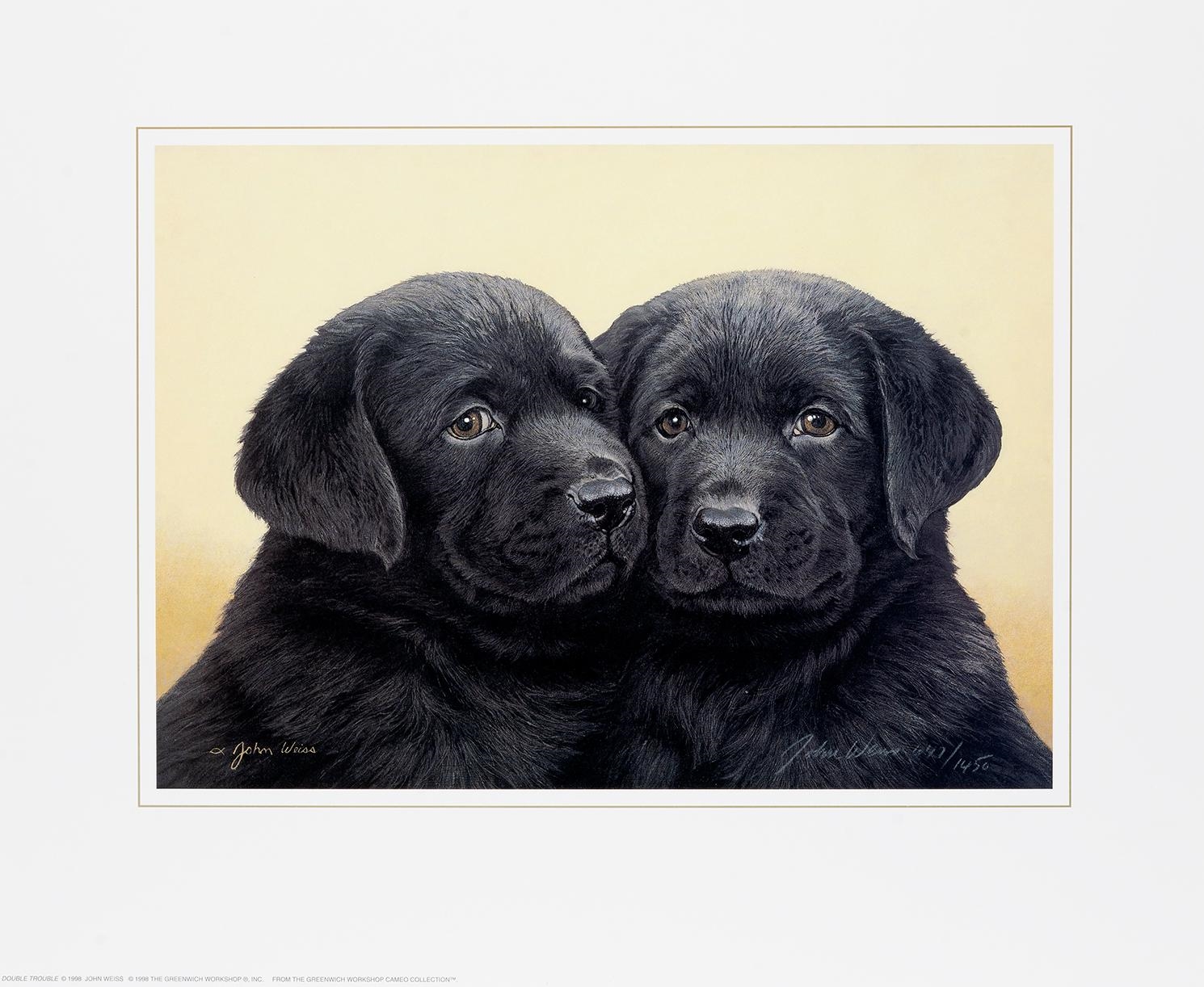 John Joseph Weiss | Double Trouble (1998) | MutualArt