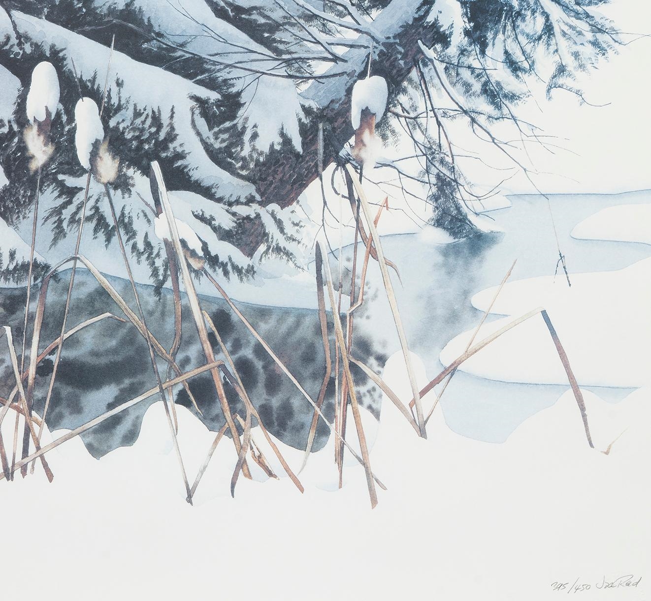 Jack Henry Reid | Untitled - Cat Tails (1985) | MutualArt