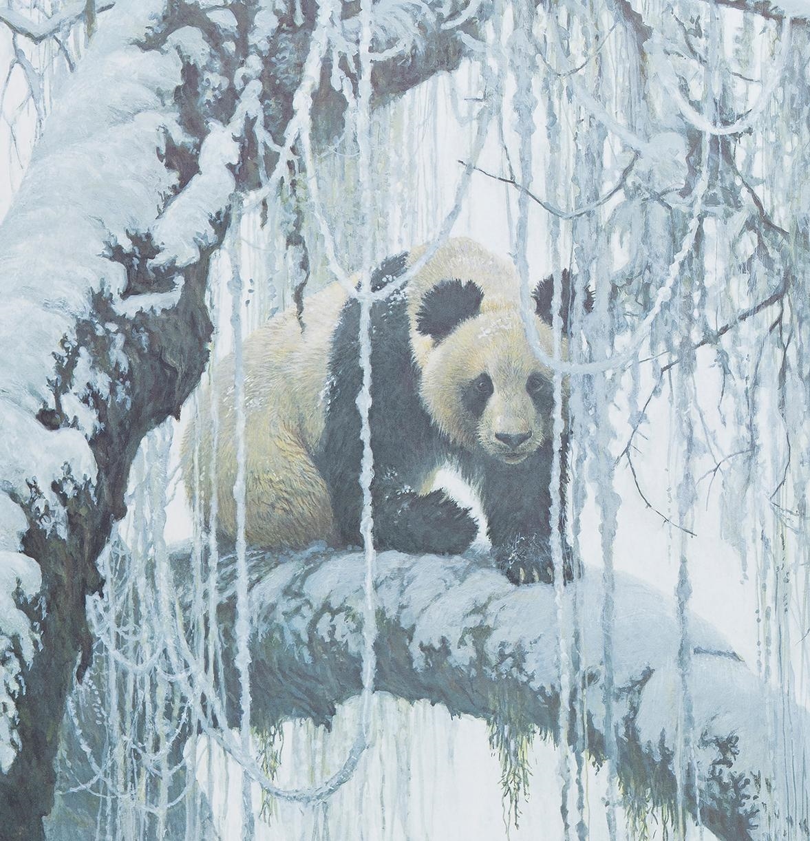 Robert McLellan Bateman | Winter Filigree - Giant Panda (1996) | MutualArt