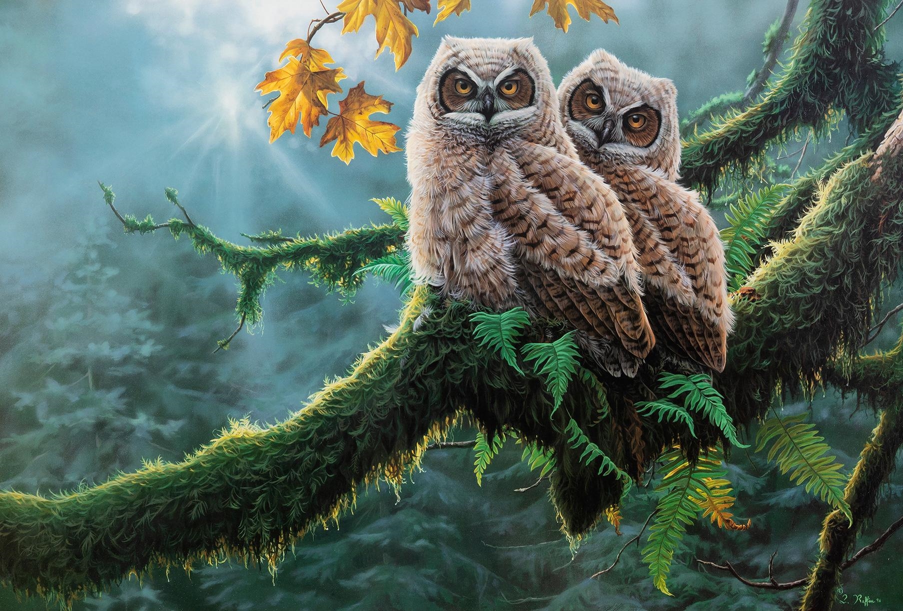 Luke Raffin | Children of the Forest | MutualArt