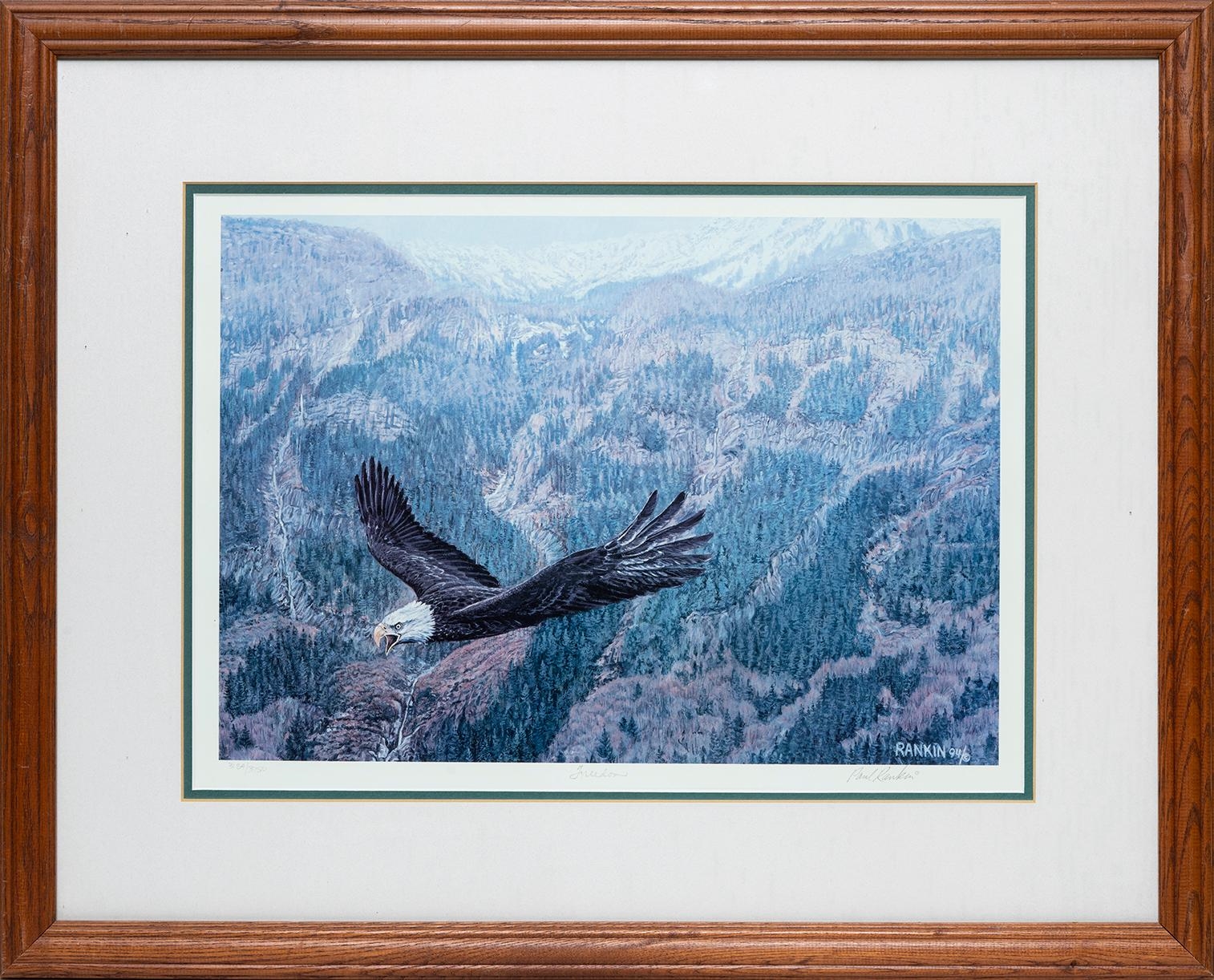 Paul Rankin | Freedom (1994) | MutualArt