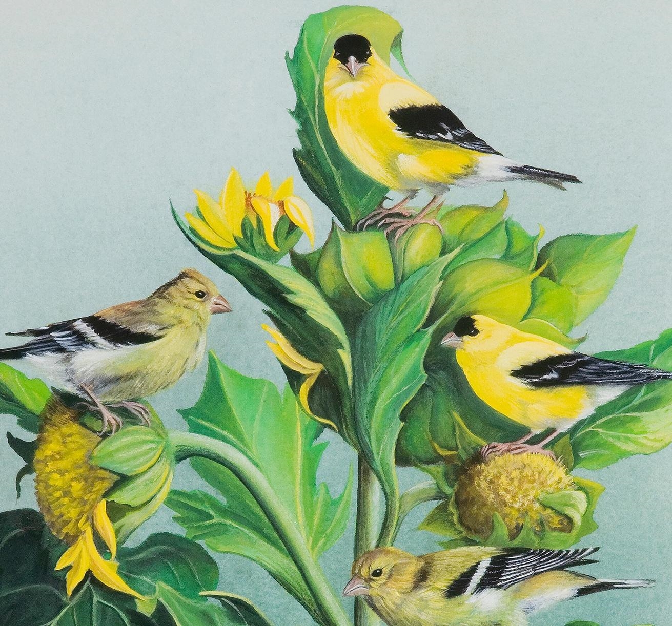 Paulett Sapergia | Nature's Gold | MutualArt
