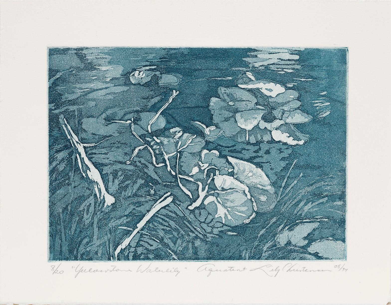 Lily Christensen Dutchak | Yellowstone Water Lily (1994) | MutualArt