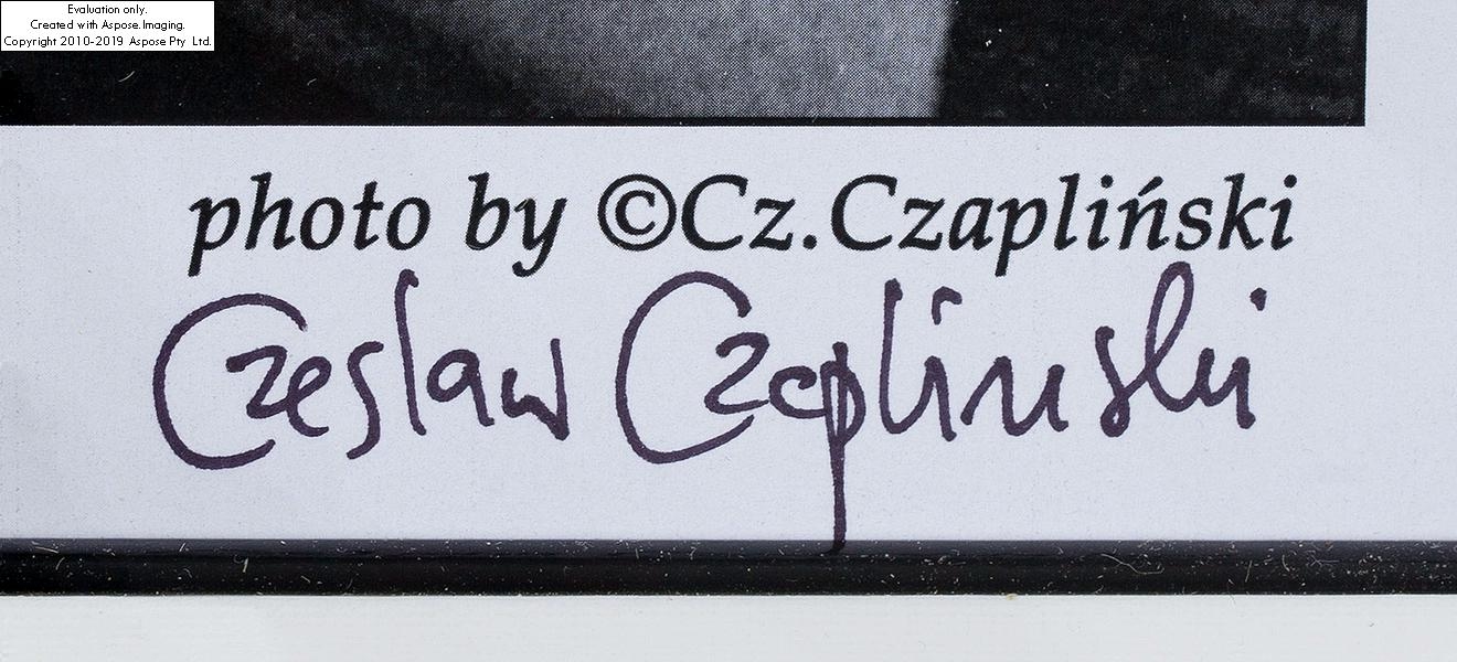 Czeslaw Czaplinski | Franciszek Starowieyski (1981) | MutualArt