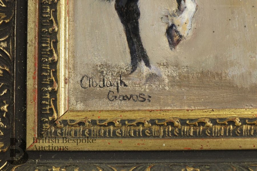 Clodagh Cravos | Llanarth Flying Comet Champion Welsh Section D. cob ...