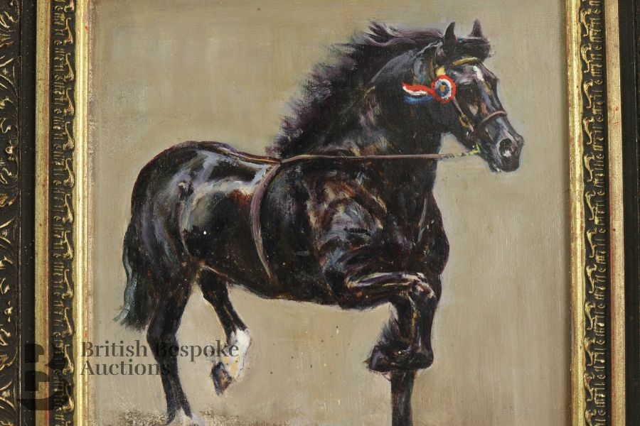 Clodagh Cravos | Llanarth Flying Comet Champion Welsh Section D. cob ...